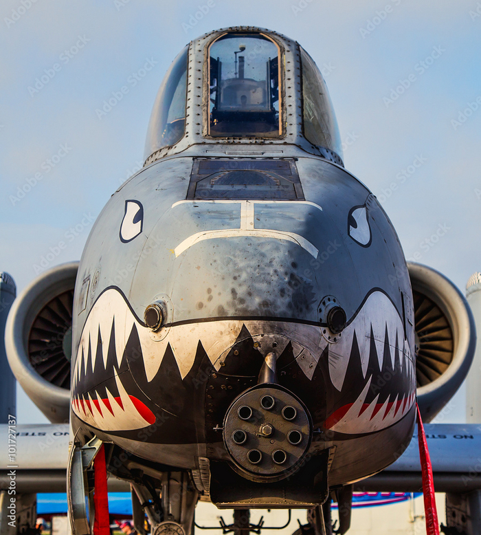 A-10 Thunderbolt II. Бородавочник. Warthog. Brrrrrrr… - 18.03.25 15:27 ...
