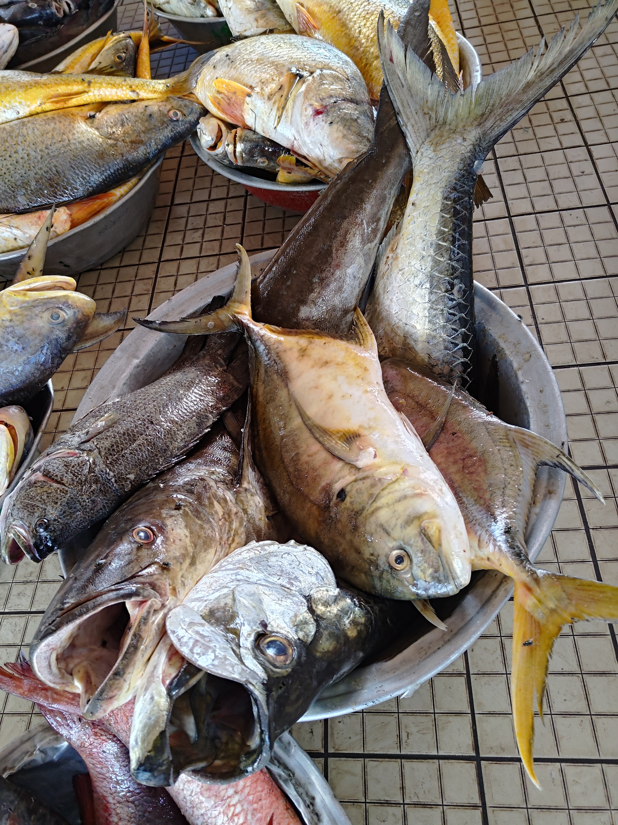 Ответ на пост «Лангустины на уууужжжин)» | Пикабу