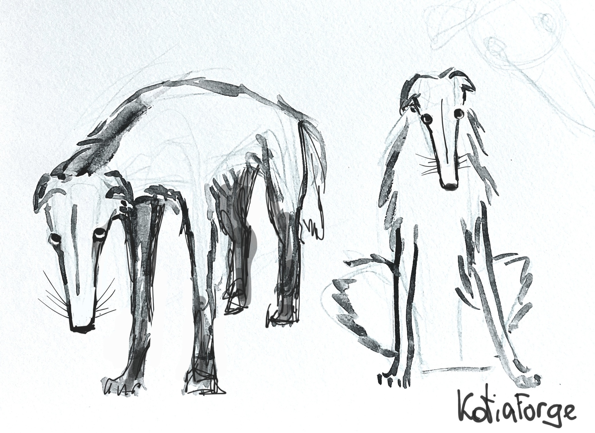 Ответ на пост «Моя собака выглядит так, будто она нарисована на картине маслом на этой ...