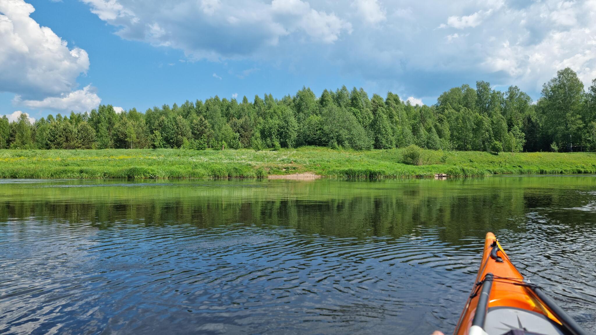 Восьмой день: Медвежьи новости, тест фильтра на воде с гусеницами и ...