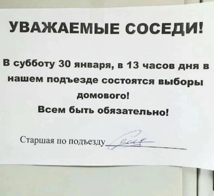 Голосуем за Кузю | Пикабу