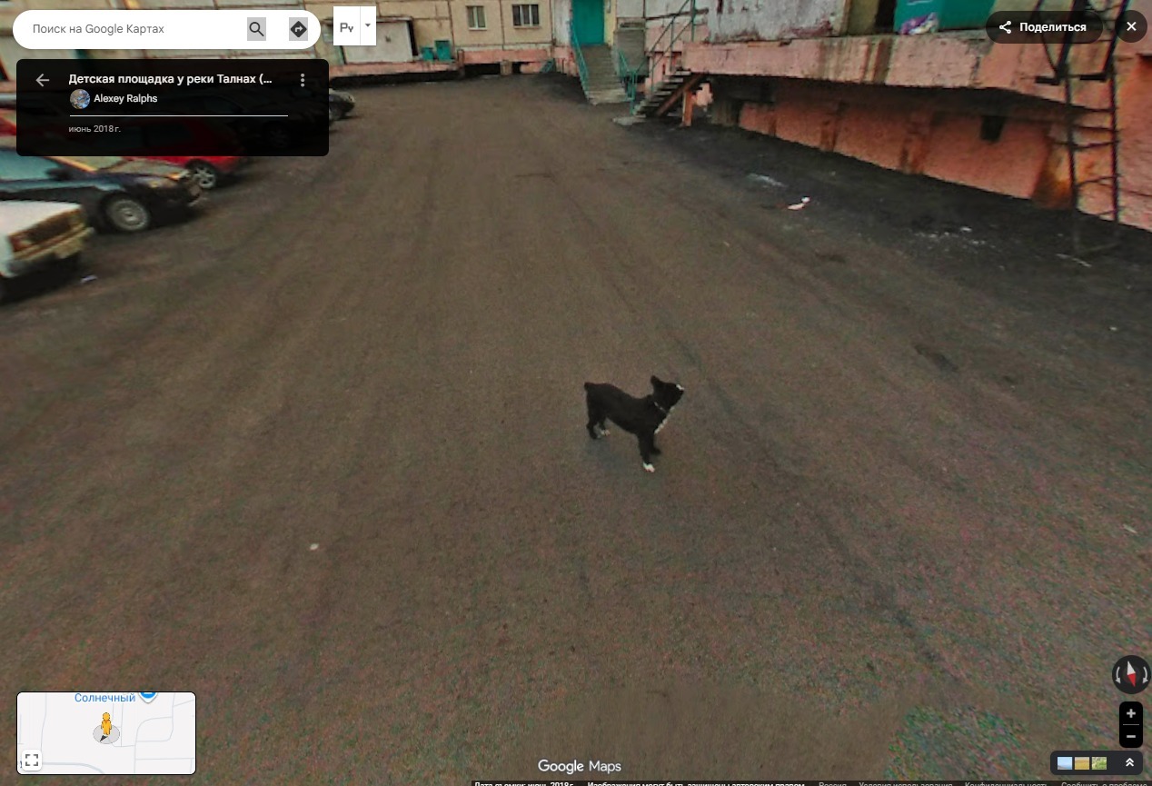 Пользователь гугл создал пешую панораму города, гуляя с собачкой - 24. ...