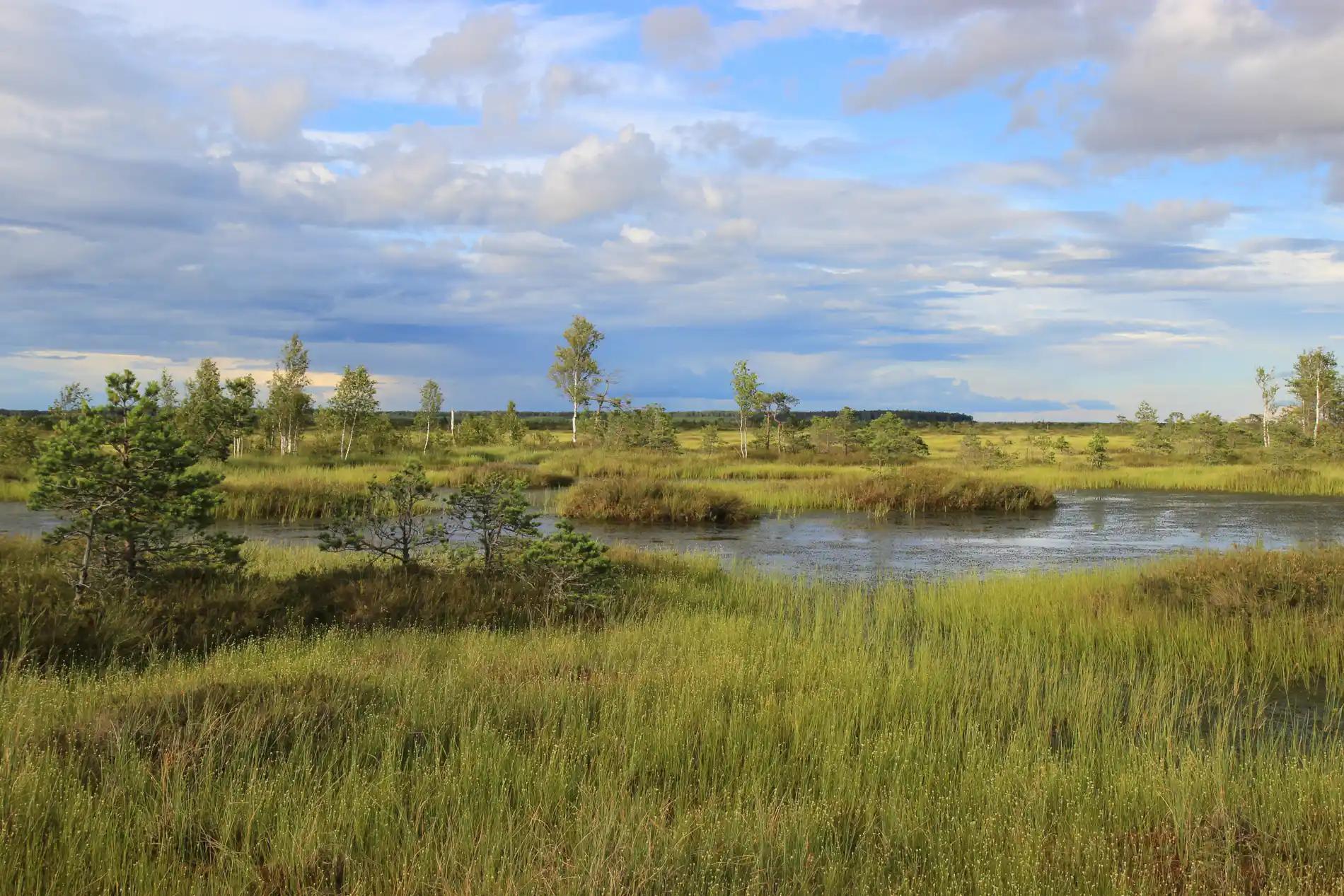 ТОП-10 автобусных экскурсий по Витебску — цены и расписание, рейтинг ...