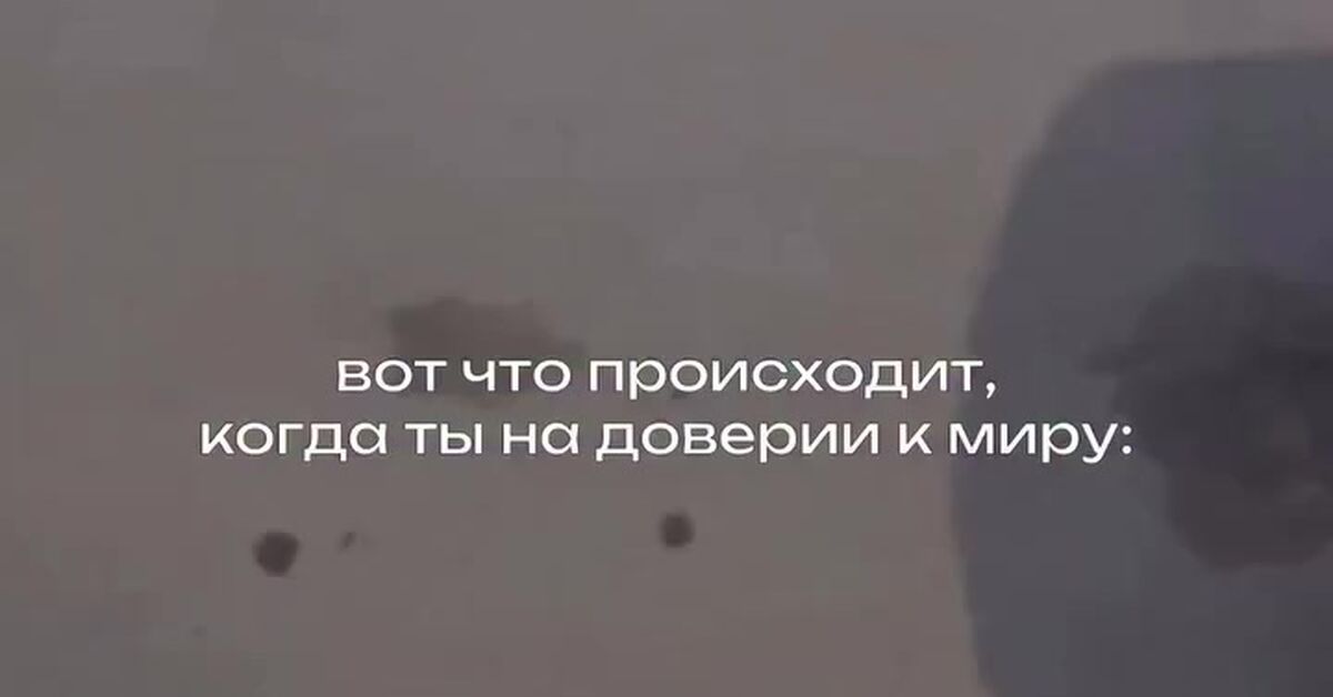 Душевно пообщались - 20.01.26 02:52 | Пикабу